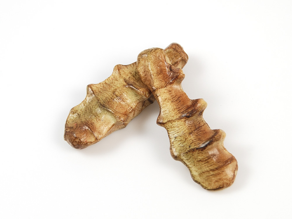 Organic Beads Course - The Blue Bottle Tree